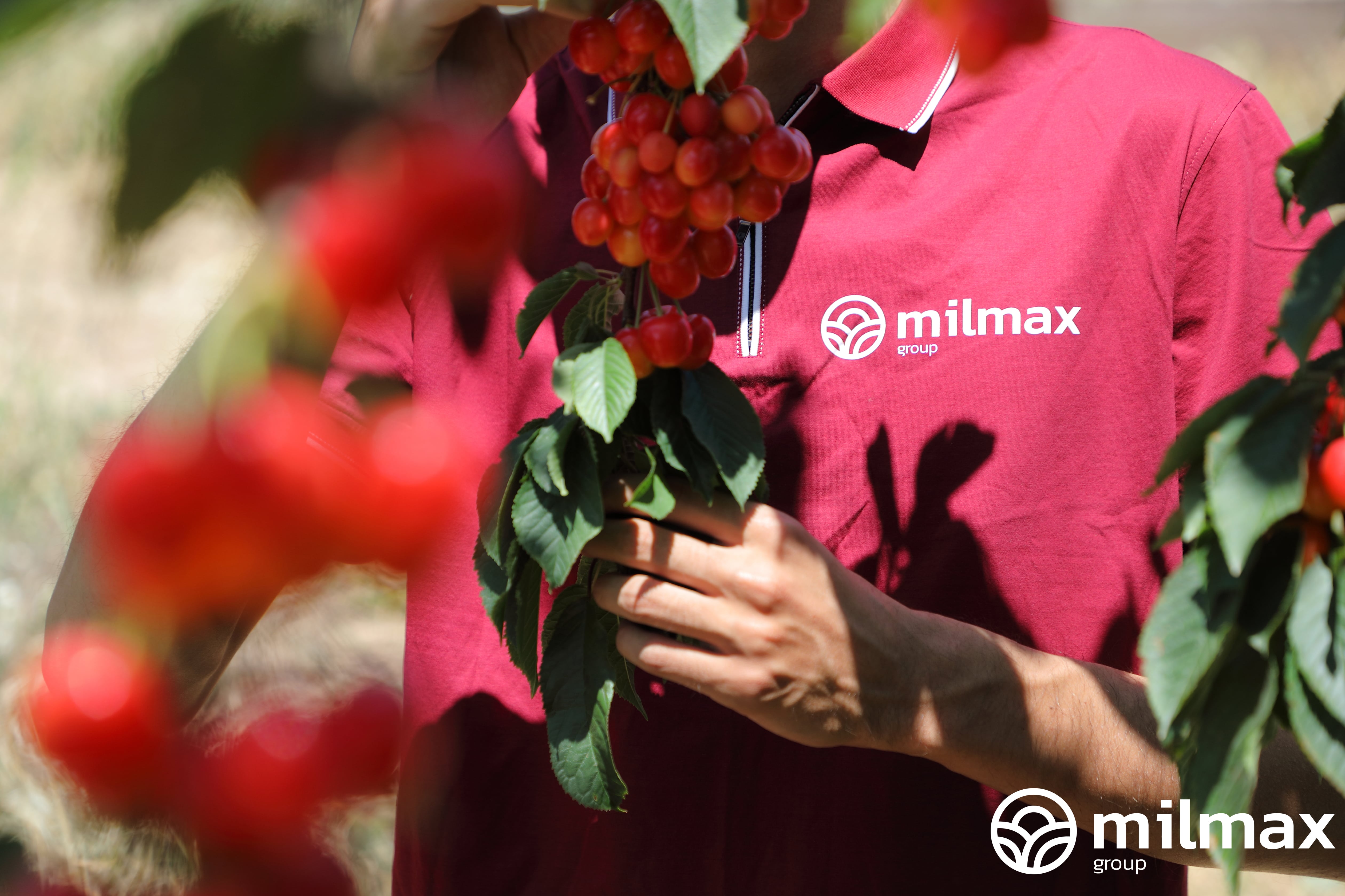 Dried and Fresh Fruits - Export & Worldwide Delivery | milmax.uz